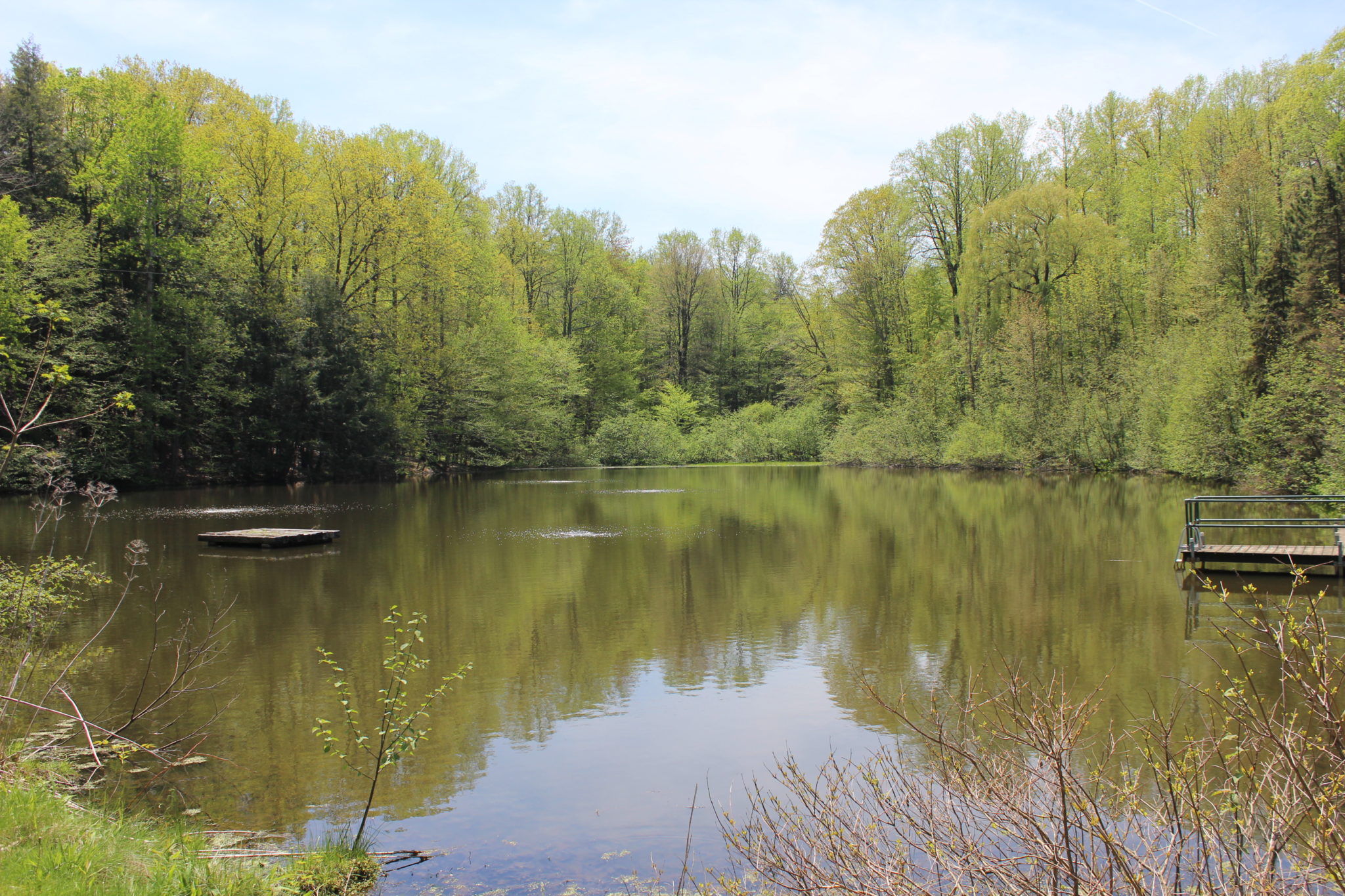 Join Our Team - Camp Judson